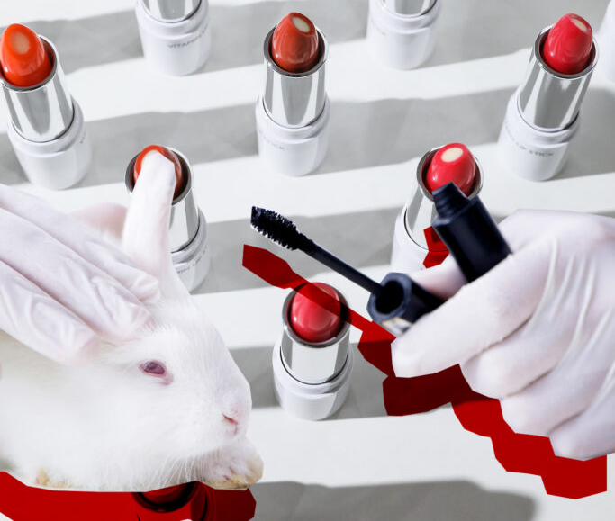 How to Exempt from Animal Testing in China for Non-special Used ...