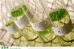 欧盟委员会拟新增CLP法规下化学品危害类别 - 全球GHS/CLP法规 - 工业化学品 - 瑞旭集团