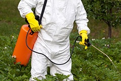 高频答疑丨印度农药登记知多少？ - 行业新闻 - 农用化学品 - 瑞旭集团